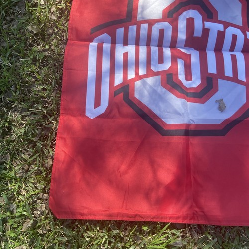 Ohio State Buckeye Banner 39 X 27 Inch Flag FREE SHIPPING | eBay