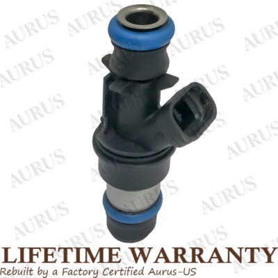 x1 OEM Delphi Fuel Injector for 2001-2006 Chevrolet Tahoe 4.8L 5.3L V8 ...
