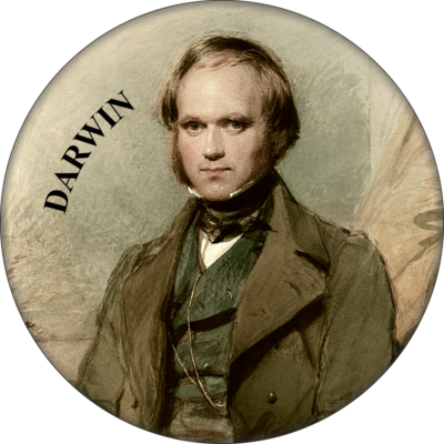 31112 Darwin Evolution Biology Science History Gift Fridge Refrigerator ...