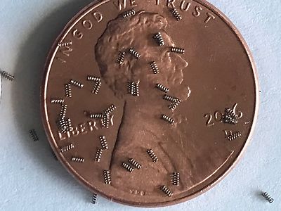 Lot of 25 - Micro / Miniature / Tiny Stainless Steel Compression ...