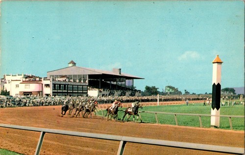 Charles Town Race Track, Charles Town, West Virginia postcard | eBay