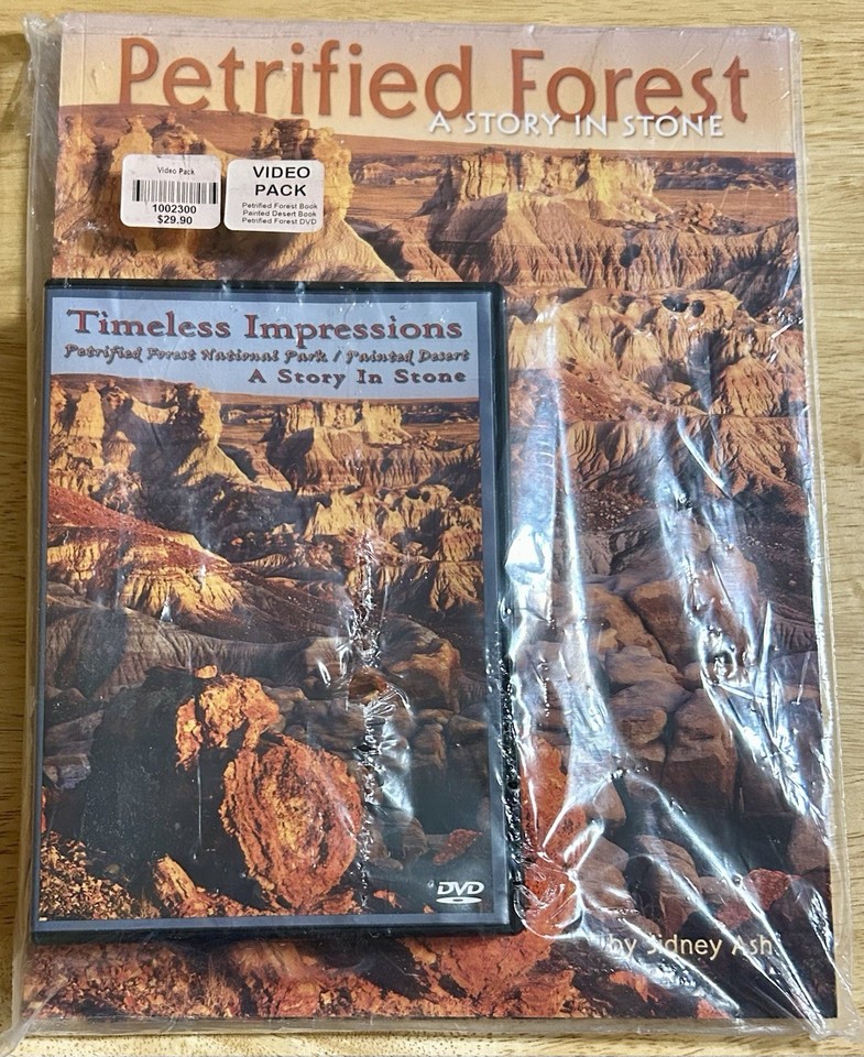 Petrified Forest Painted Desert Books Timeless Impressions A Story In ...