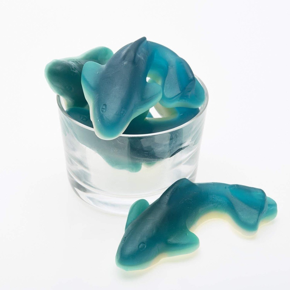 Gummy Killer Sharks Blue & White NY Candies Gummy FREE SHIP | eBay