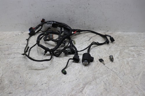 2004-2006 Harley Sportster XL883c Main Engine Wire Harness Electrical ...