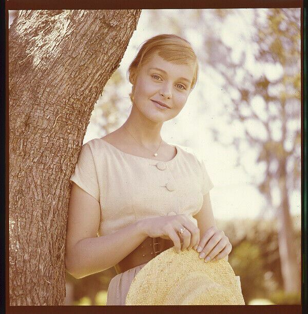 Carol Lynley Portrait Photo by tree Vintage Original 2.25 x 2.25 ...