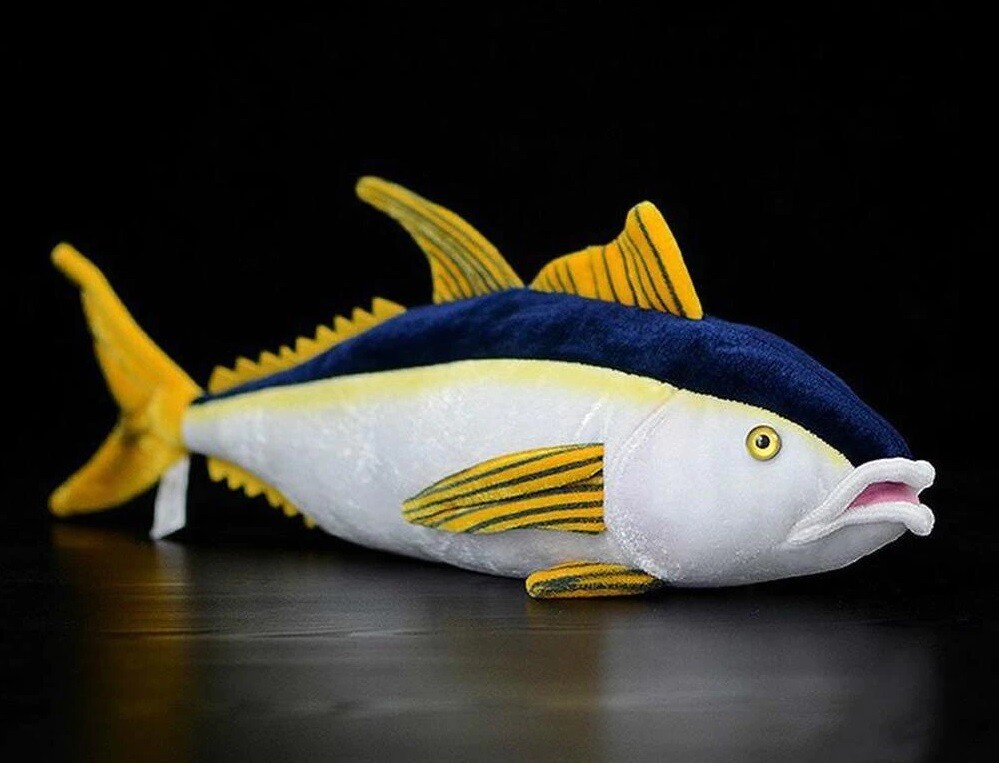 Baby Yellowfin Tuna Putting A Tag On Tuna Stocks