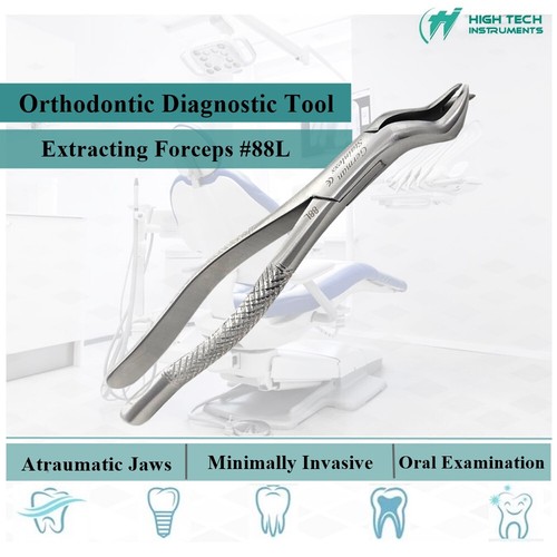 Dental Extracting Forceps 88L For Upper Molar Extraction German ...