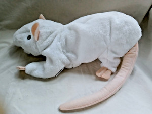 Little Eyes Closet | eBay Stores