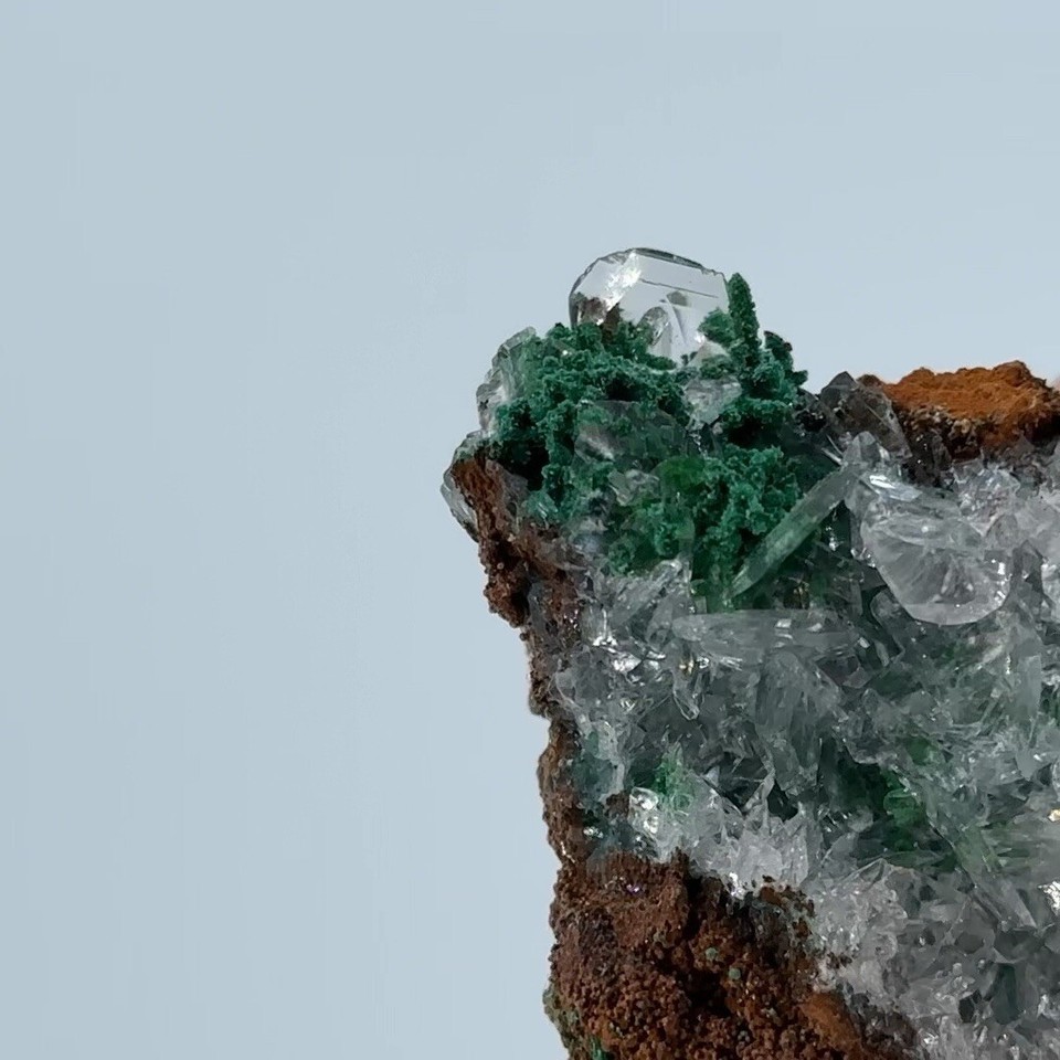 Lustrous "mouse-ear" Calcite Crystals and Malachite - Ojuela Mine ...