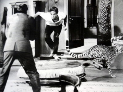 THE MOON SPINNERS Movie Film 8 x 10 PHOTO WALT DISNEY 1964 Hayley MILLS ...