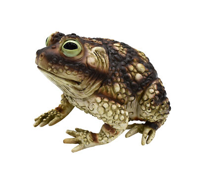 10" Giant Cottage Core Realistic Frog Toad Garden Prop Decoration ...
