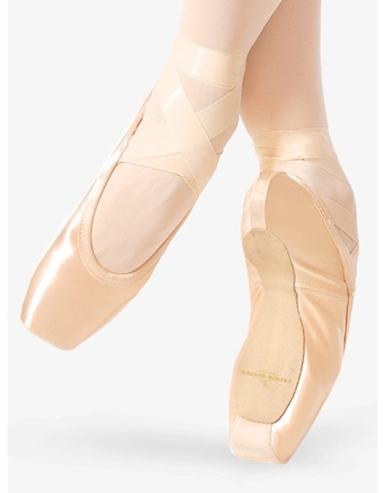 Gaynor Minden Point Shoe (US Made) CLASSIC (CL) Brand New | eBay