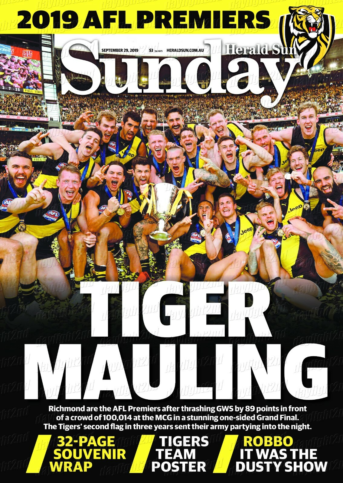Framed 2019 RICHMOND TIGERS AFL Premiers Poster - 84cm x 59.5cm x 3cm ...