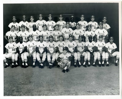 1965 St. Louis Cardinals 8 x 10" Team Photo Baseball Gibson Carlton | eBay