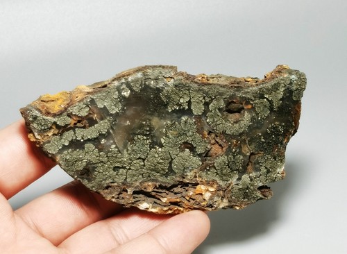 New Find Beauty Pyrite Flower Grow With Agate Freeform Reiki Healing | eBay