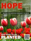 Hope After Brain Injury Magazine - May 2018, Grant, Grant 9781717520838 ...