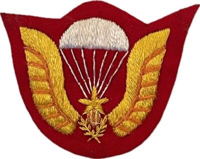 WARTIME ARVN AIRBORNE BERET BADGE / INSIGNIA / PATCH (465) | eBay