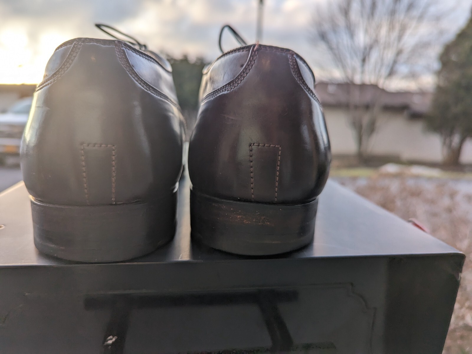 Men's Alden captoe 2160 shoes shell cordovan cigar 11… - Gem