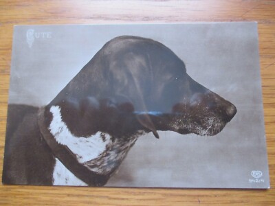 Original U.S. Pre WW1 Postcard. 'Cute'. Published by EAS ref No 942/4 ...