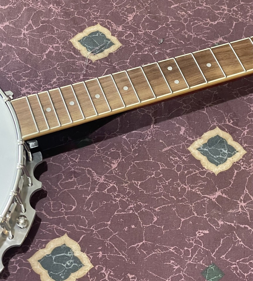 Rogue B30 5-String Banjo Easy Project | eBay