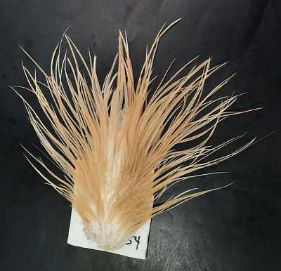 Feathers - Light Ginger