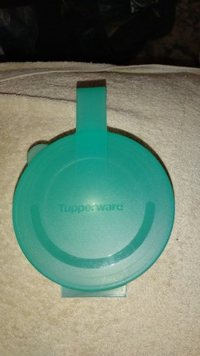 vtg tupperware small capacity storage container w hinged lid rare ...