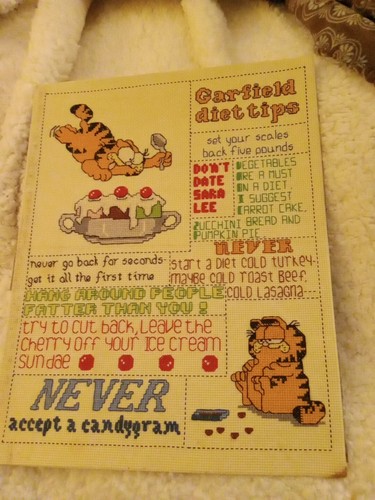 Garfield Diet Tips Cross Stitch Completed | eBay