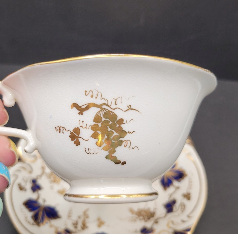 Rockingham Brameld Tea Cup & Saucer 2/66 Cobalt Grape Vine c1830 | eBay UK