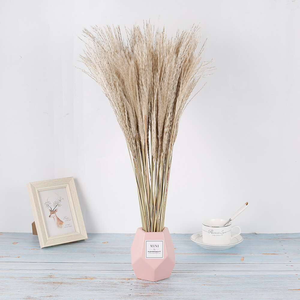 50PCS Natural Dried Reed Flowers Bunch Wedding Bouquet Home Decor 50cm ...