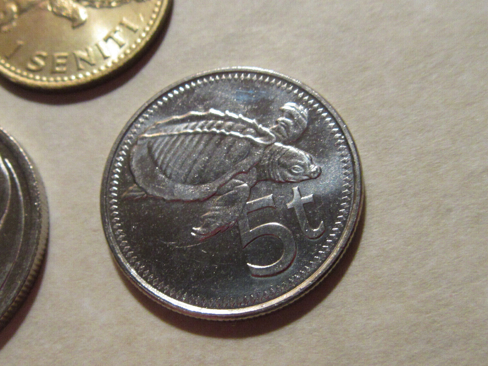 TURTLE coin set 3 coins all unc coins animal coin Guinea Cayman Islands ...