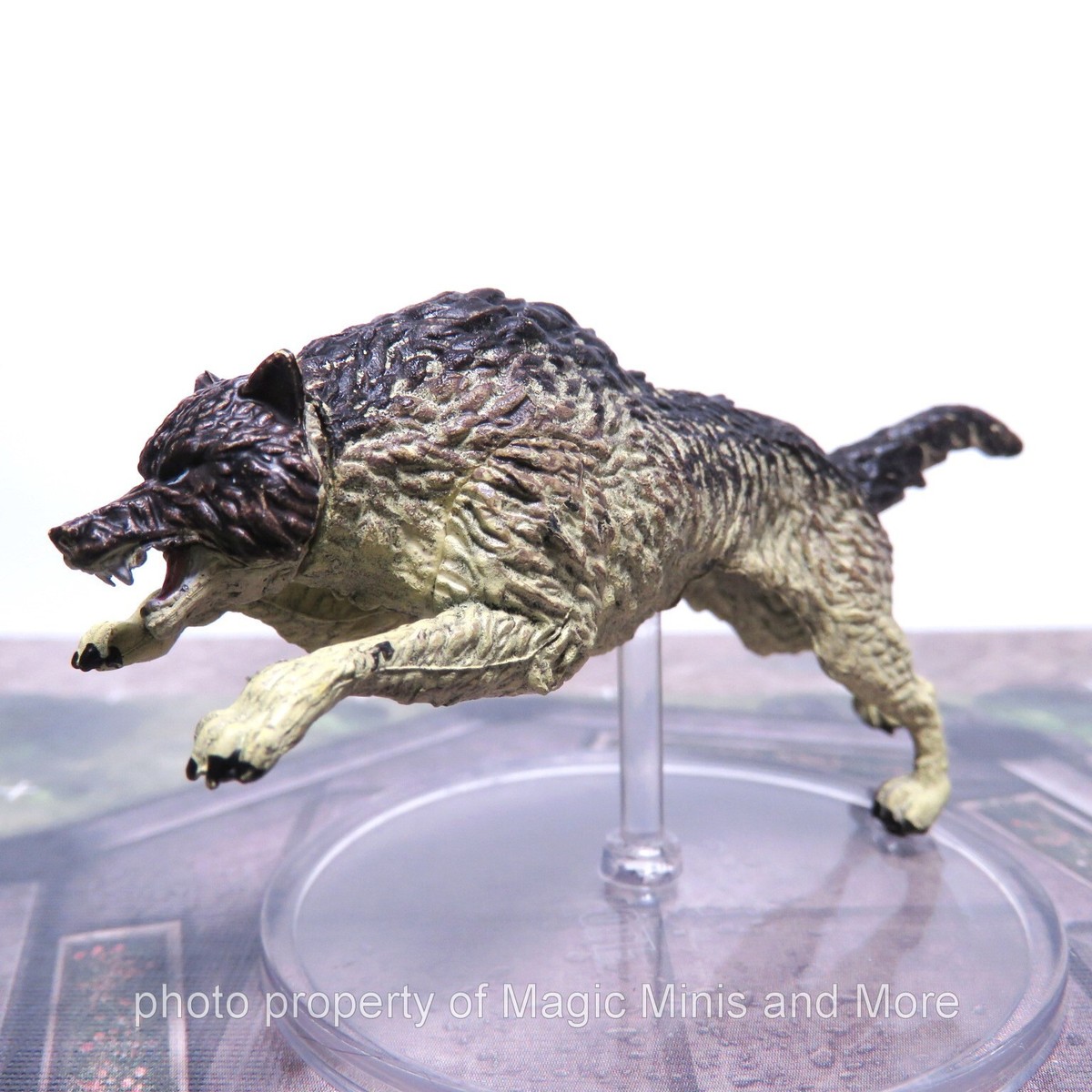 Dire Wolf Dandd Huge Dire Wolf Simons Magic Shoppe