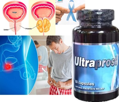 PROSTATIN,PROSTASTERONE MULTI VITAMIN MEN DIETARY SUPPLEMENT urinary ...