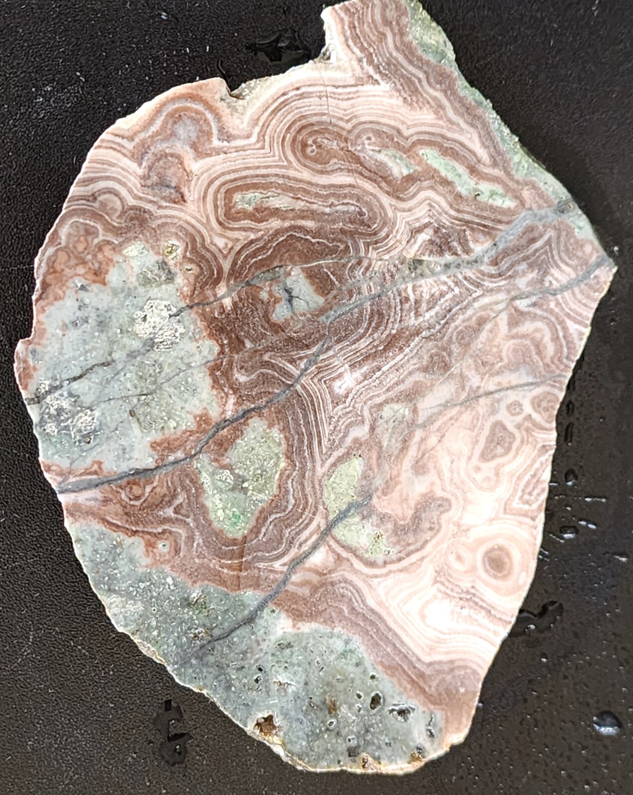 Fortification Agate Laguna area Mexico Lapidary Slab | eBay