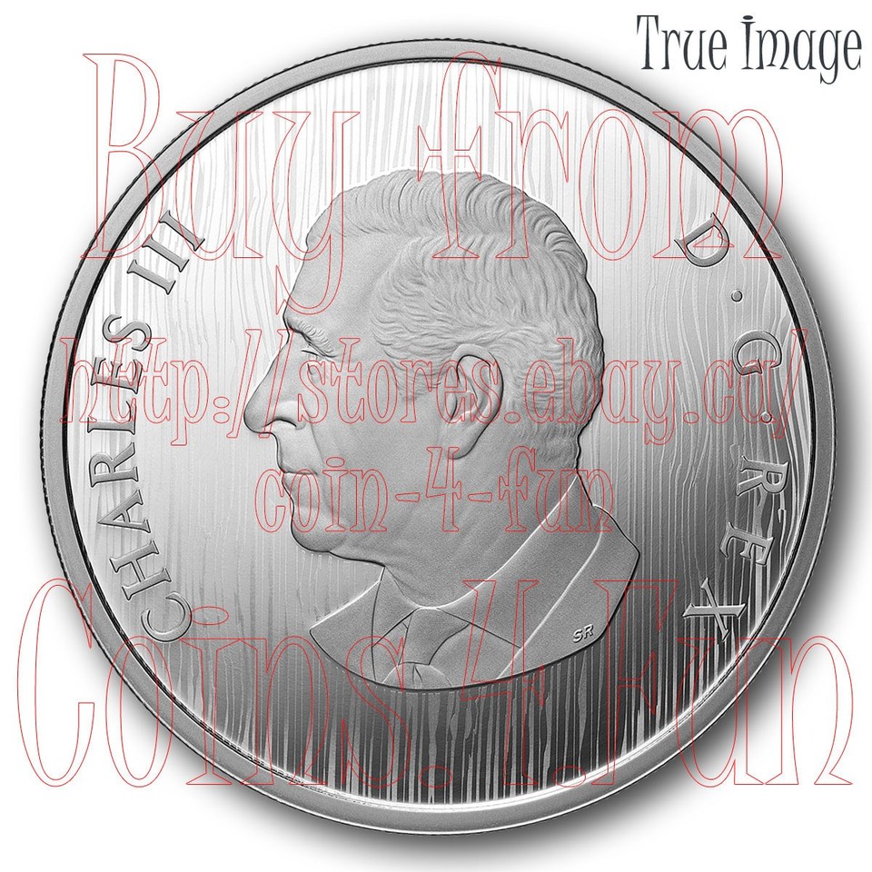 2026 - Heraldic Animal #2 - Lion - $50 Proof Pure Silver EHR/UHR Coin ...