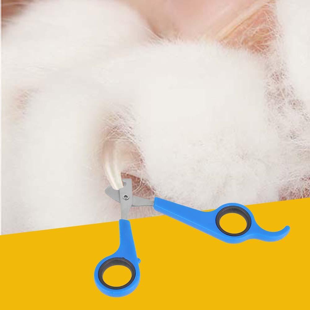 FE# Pet Nail Toe Clipper Scissors Stainless Steel Dog Claw Cutter(Blue ...