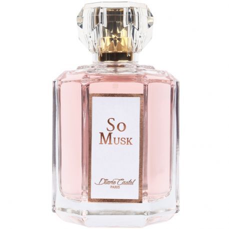 Diane Castel - So Musk - Eau de parfum Femme - 100ml | eBay