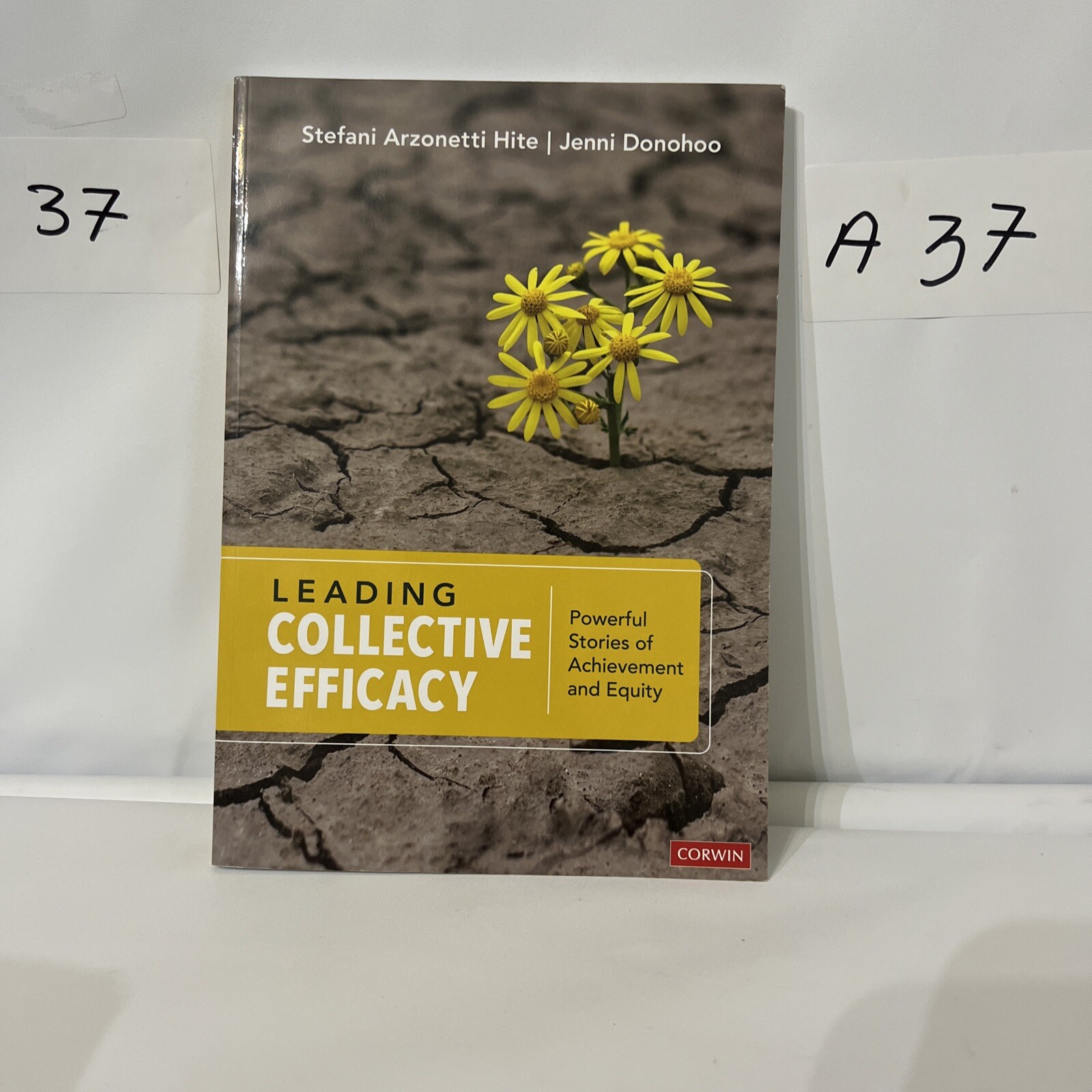 Leading Collective Efficacy : Powerful Stories of Achievement and ...