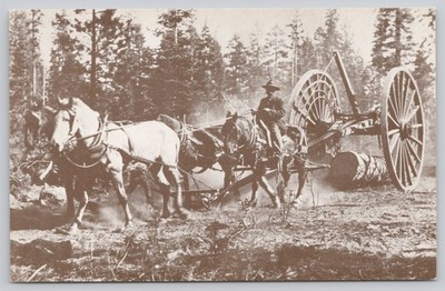 High Wheel Logging Cart Vintage Postcard Georgia-Pacific Historical ...
