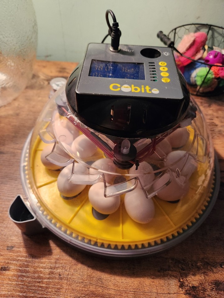 Cobito automatic egg incubator for chickens,ducks,geese,quail eggs | eBay