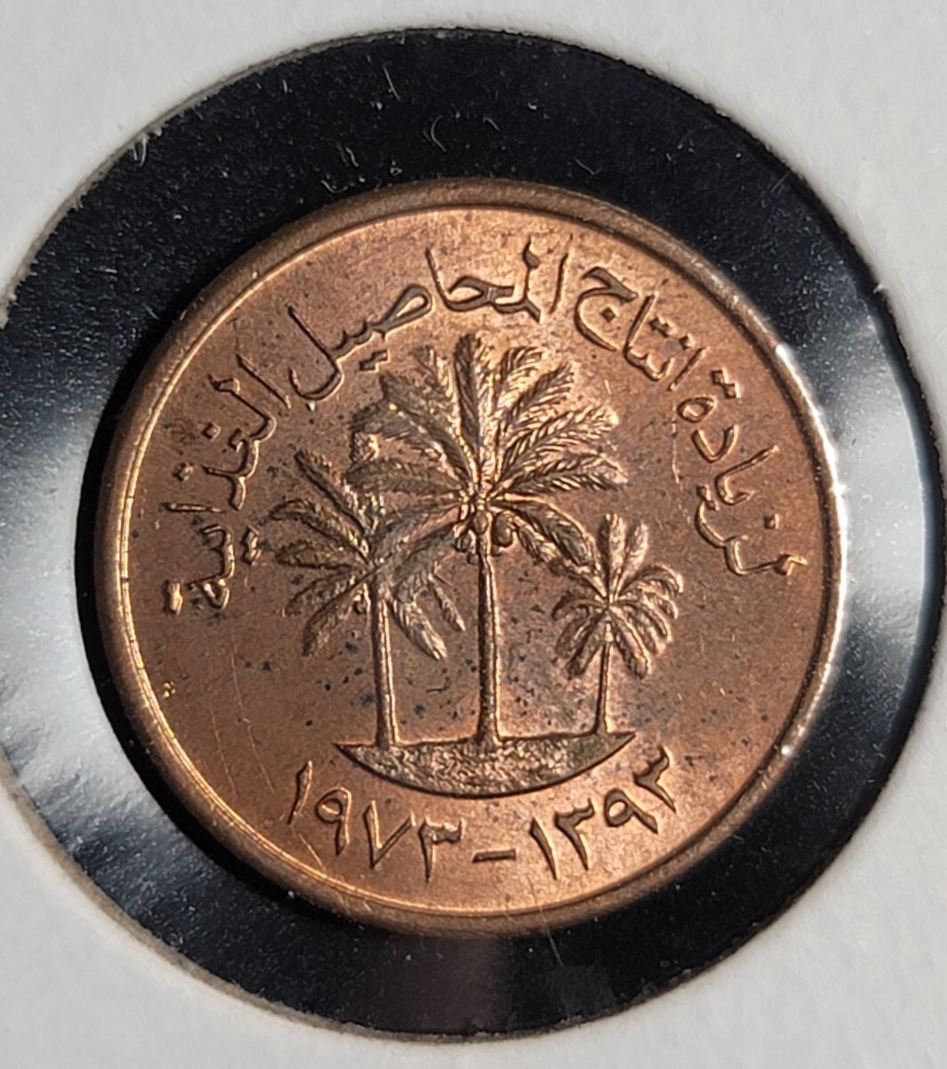 United Arab Emirates 1 Fils Coin | eBay