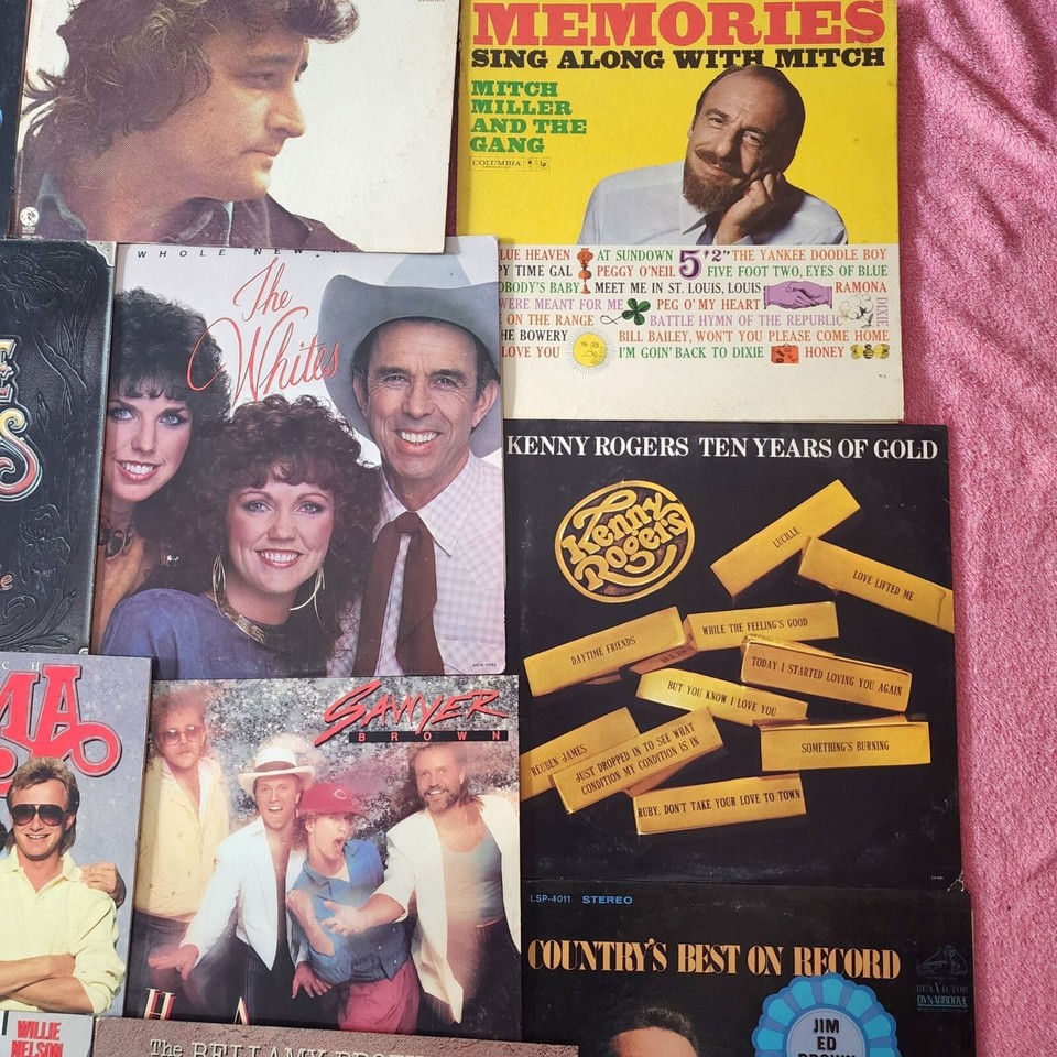 Vinyl Record Lot of 30 Country Southern Rock Pop 70s 80s 90s Lps 12" LP ...