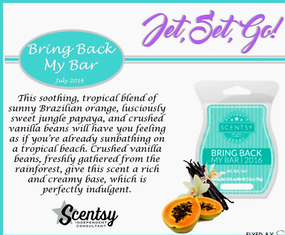 SCENTSY Bar JET SET GO Wax Melt 8 Cube Fragrance Warmer Pack 3.2oz | eBay