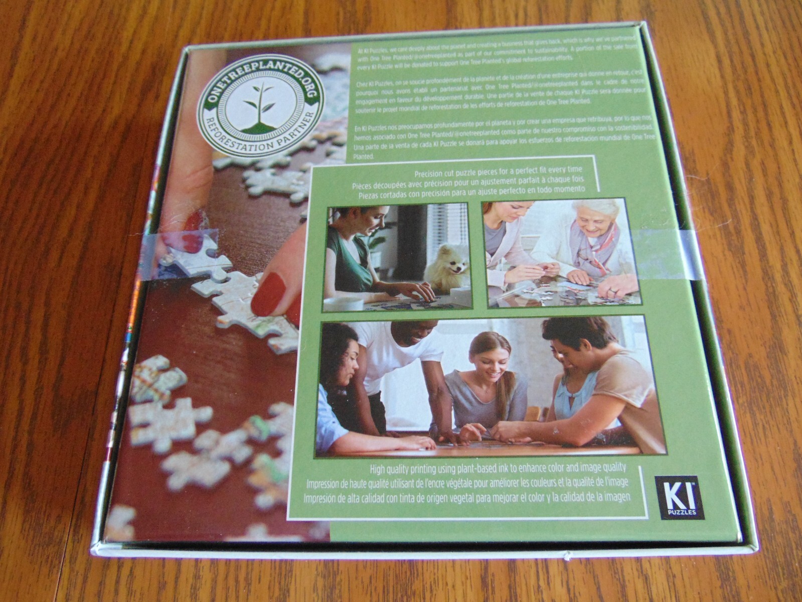 Randal Spangler Art Jigsaw Puzzle 550 Pc 18"x24" Cat Bookshelf III ...