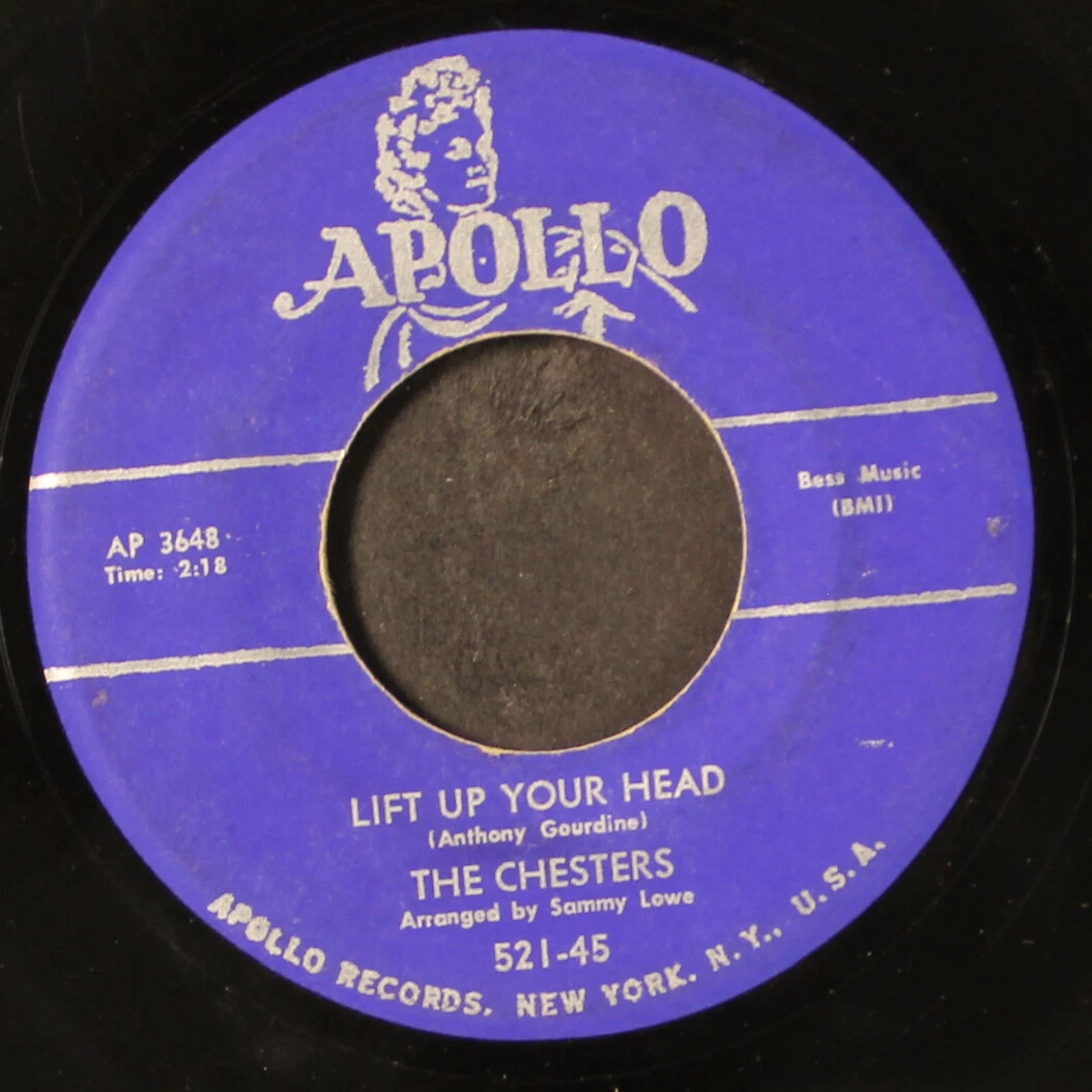 Which Apollo Burned Up