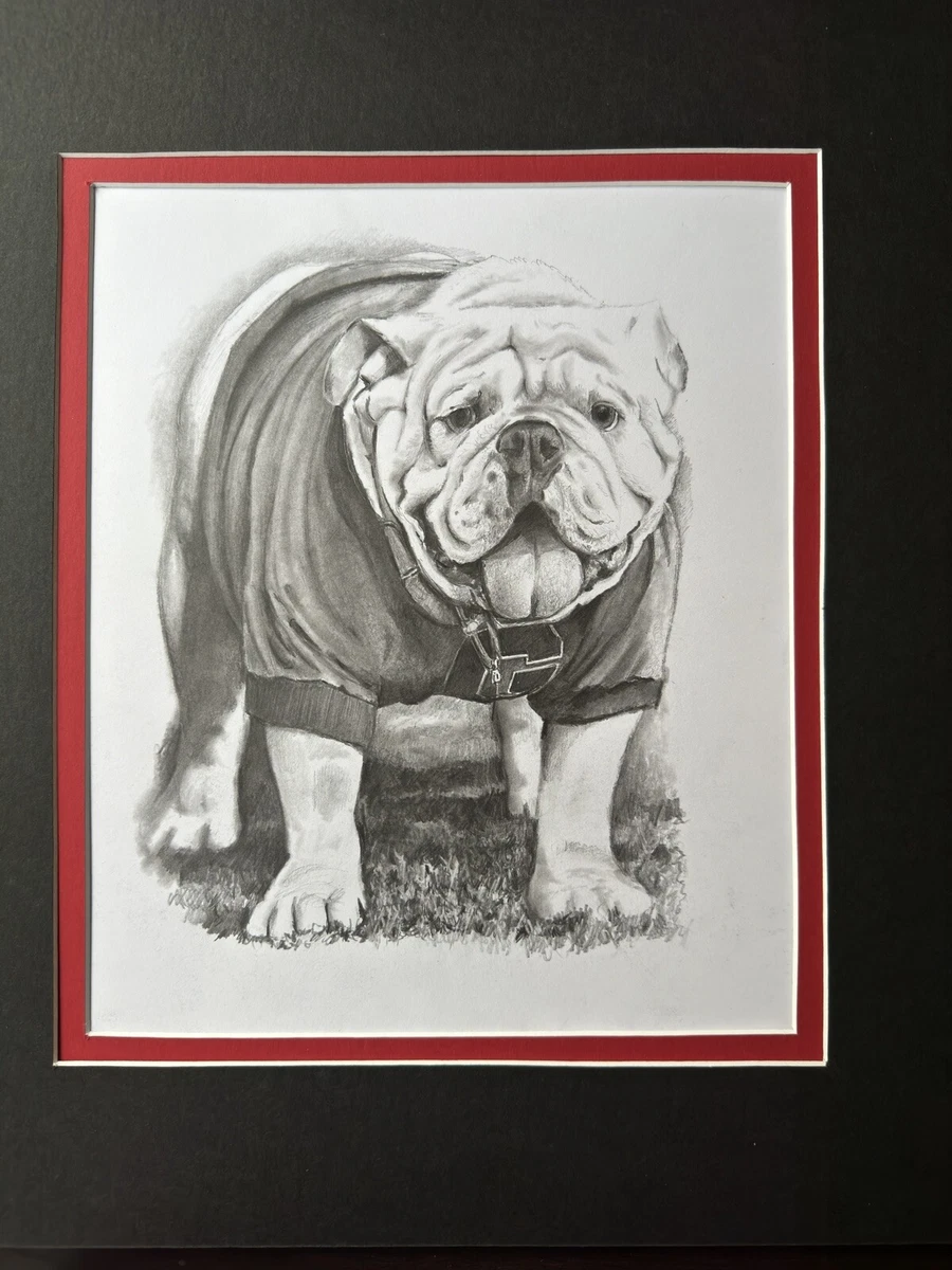 How To Draw A Bulldog Mascot