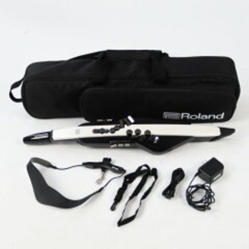 ROLAND Aerophone AE-20 Digital Wind Synthesizer Saxophone w/ Soft Case ...