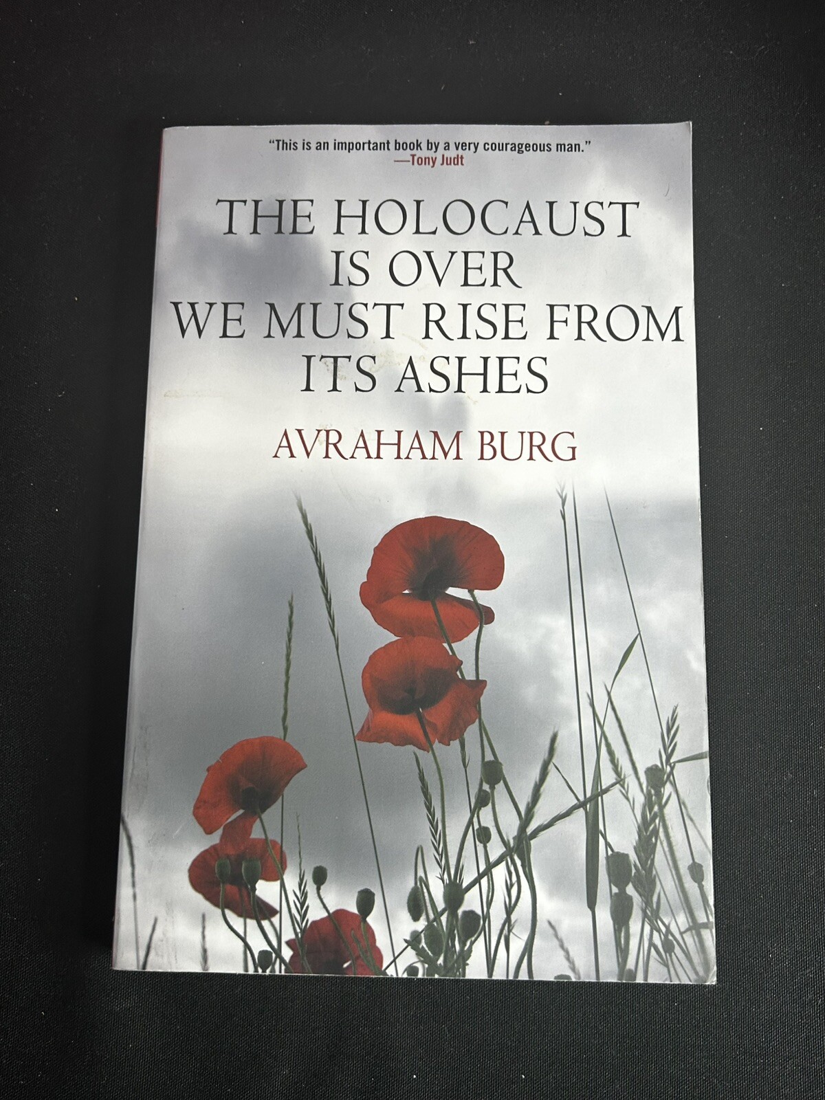 Holocaust Is Over; We Must Rise from Its Ashes by Avraham Burg (2009 ...