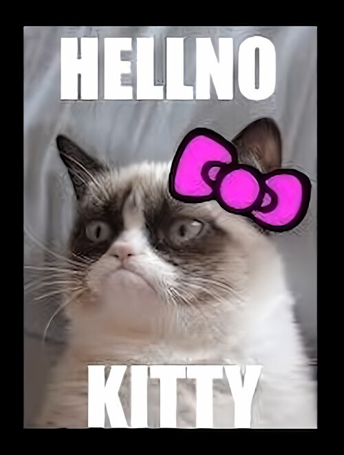 Grumpy Cat Kitten Memes