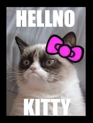 Grumpy Cat HELLNO Kitty MAGNET | eBay