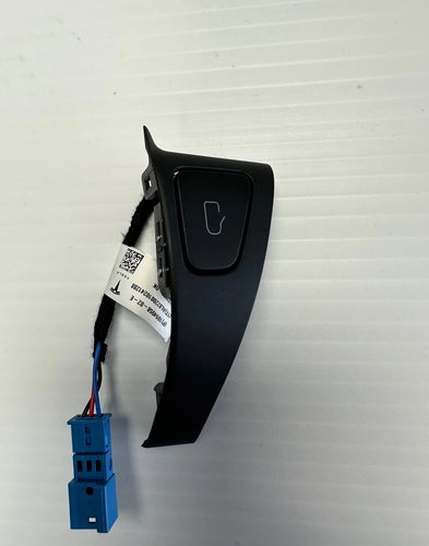 Tesla Model 3, Y Power Door Lock Open Switch with Trim, Rear Left, 2021 ...